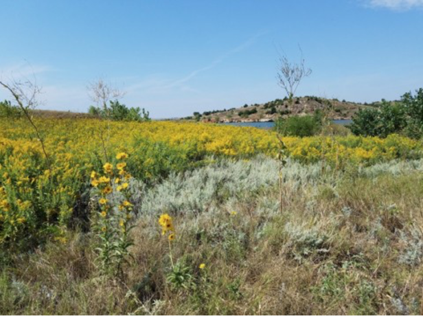 Campground Review: Wilson Lake Corps of Engineers Minooka Park ...